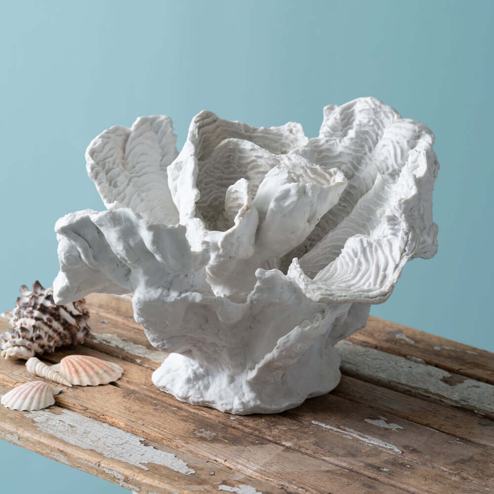 White Coral Centerpieces Authentic Coral Pieces Lace Coral